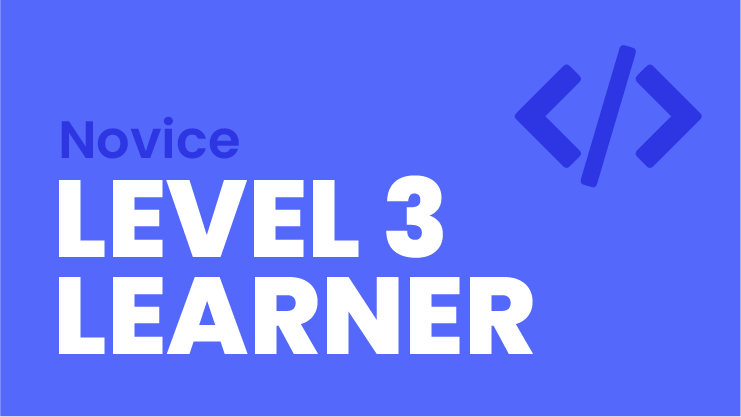 Novice Level 3: Learner Course | Resolute Shop