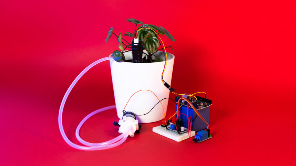 Advanced Level 2: Smart Garden | Resolute Shop